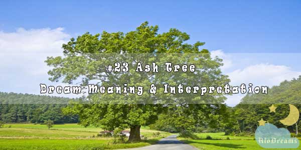 #23 Ash Tree – Dream Meaning & Interpretation