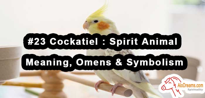 #23 Cockatiel : Spirit Animal – Meaning, Omens & Symbolism