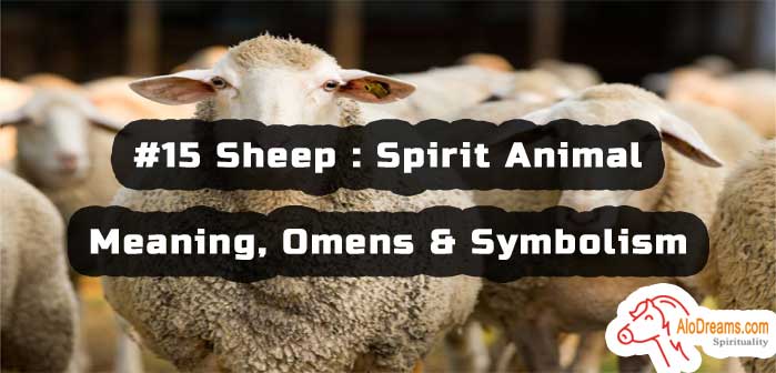 #15 Sheep : Spirit Animal – Meaning, Omens & Symbolism