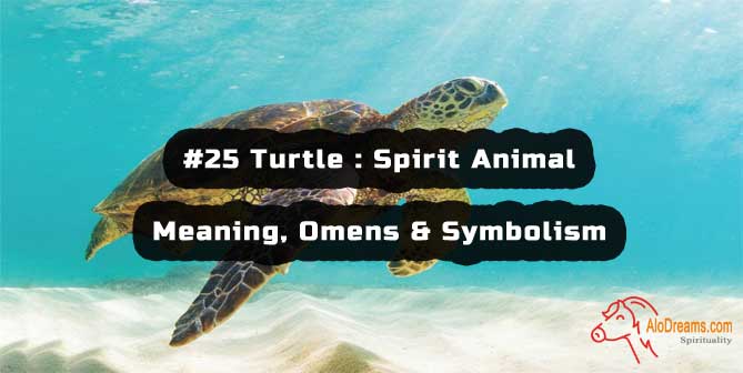 #25 Turtle : Spirit Animal – Meaning, Omens & Symbolism