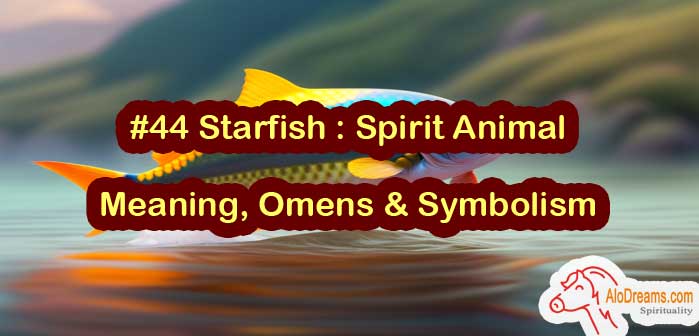 #44 Starfish : Spirit Animal – Meaning, Omens & Symbolism