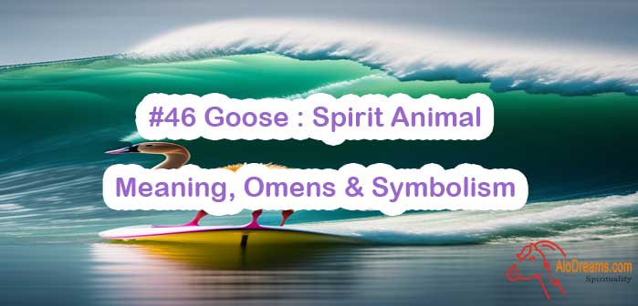 #46 Goose : Spirit Animal – Meaning, Omens & Symbolism