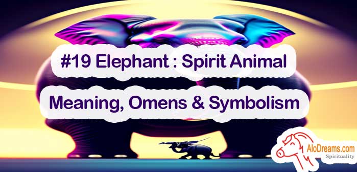 #19 Elephant : Spirit Animal – Meaning, Omens & Symbolism