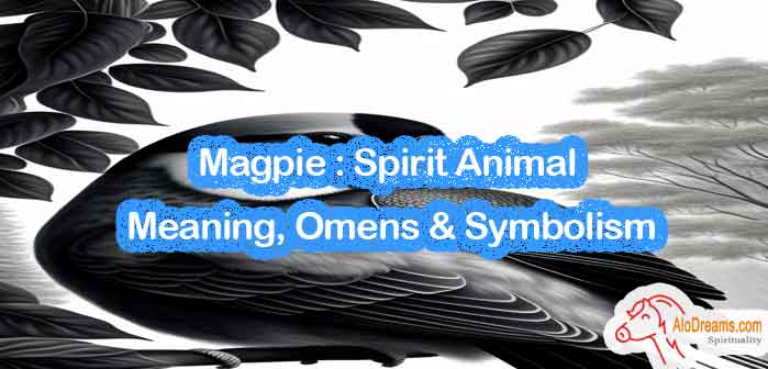 #56 Magpie : Spirit Animal – Meaning, Omens & Symbolism
