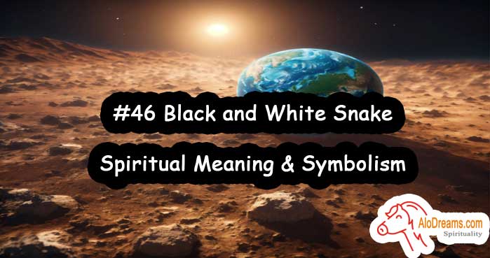#46 Black and White Snake – Spiritual Meaning & Symbolism